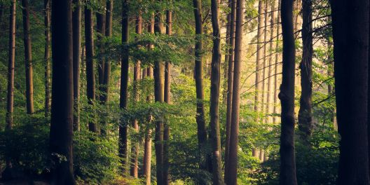 Walking & Cycling in Dublin & East Ireland | Ireland Travel Guide