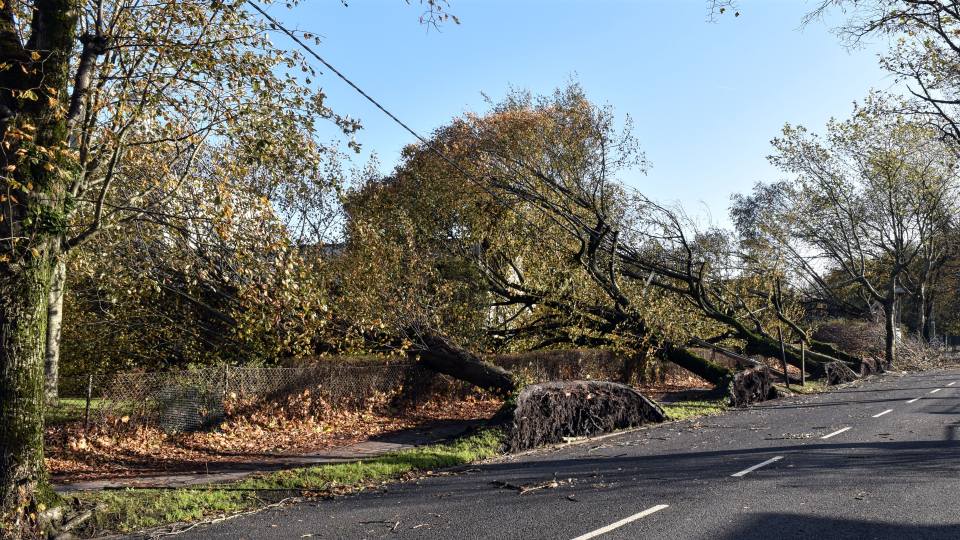 Images of Hurricane Ophelia Ireland - Storm Ophelia pictures - My ...